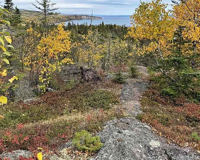 Fall's golden touch paints Palisade Head in warm hues, creating a perfect contrast with Lake Superior's deep blues.