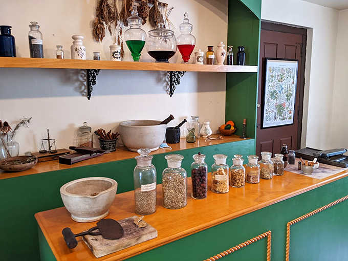 The apothecary's colorful concoctions and mysterious herbs might look Instagram-worthy, but would you trust these remedies over your modern medicine cabinet?