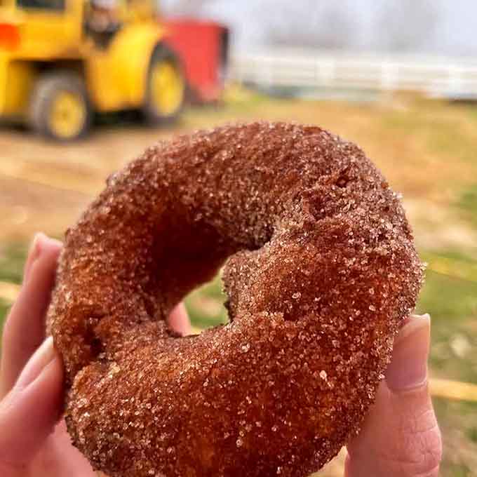 Behold the crown jewel: a cinnamon-sugar donut so perfect it should have its own Instagram account and fan club.