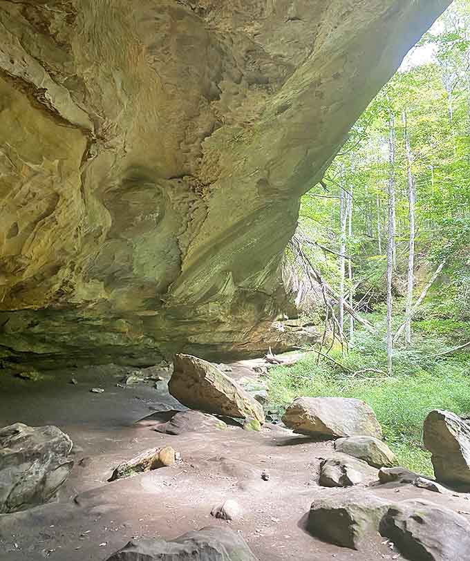 Nature's cathedral: where limestone walls soar skyward and whispered conversations echo like prayers to the wilderness gods.