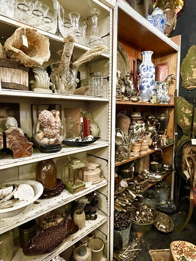 Shelves groan under collections of vintage glassware, ceramics and curiosities &ndash; each piece once cherished in someone's home before finding its way here.