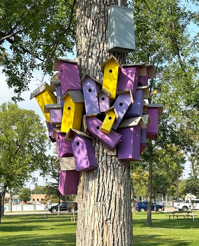 Not your average birdhouses! This colorful collection creates a whimsical neighborhood for feathered friends.