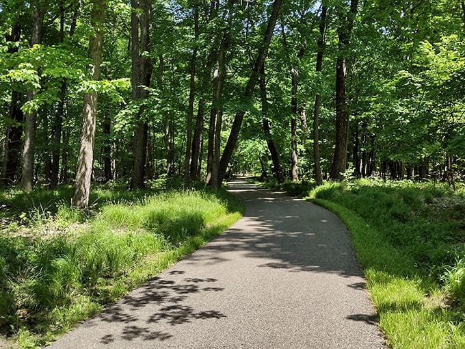 Sunlight dapples through the canopy along Glendalough's paved trail, creating nature's own version of a disco ball effect minus the questionable '70s music.