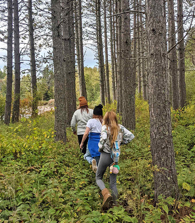 Adventurers making their way through the forest trail, anticipation building with each step toward the hidden pink shoreline.