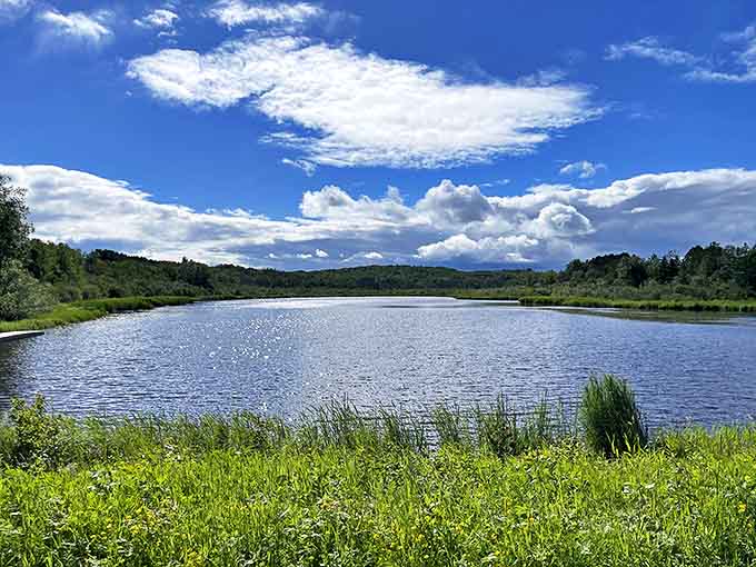 Hartley Pond mirrors the sky so perfectly you'll wonder which way is up &ndash; nature's own infinity pool without the resort price tag.