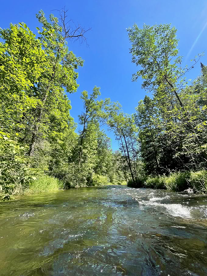 Nature's perfect pathway &ndash; the Ottertail River cuts through Minnesota's lush landscape, creating an ideal route for lazy day floating.
