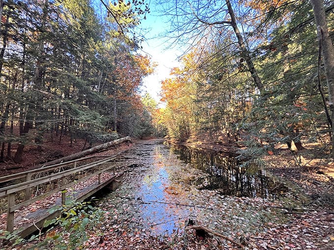 The wooded areas surrounding the ponds create picture-perfect scenes that change with every season and every angle you view them from.