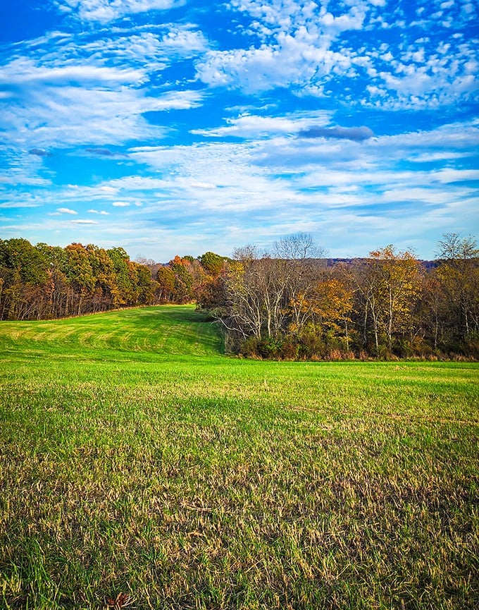Rolling hills meet azure skies in this breathtaking vista &ndash; Ohio's landscape showing off its understated elegance.