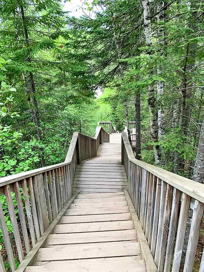 These aren't just stairs—they're a dramatic entrance to cinematic wonder, worn smooth by nearly a century of eager footsteps.
