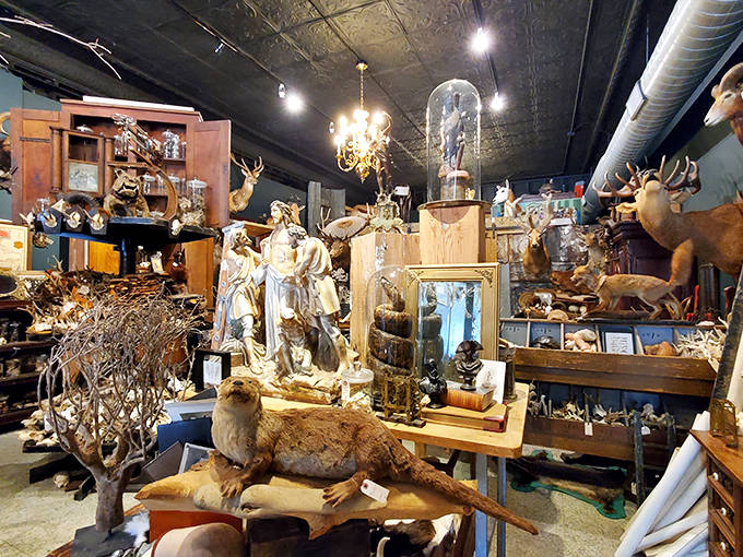 Nature and art collide in this corner display, where taxidermied creatures pose dramatically alongside religious sculptures under elegant chandeliers.