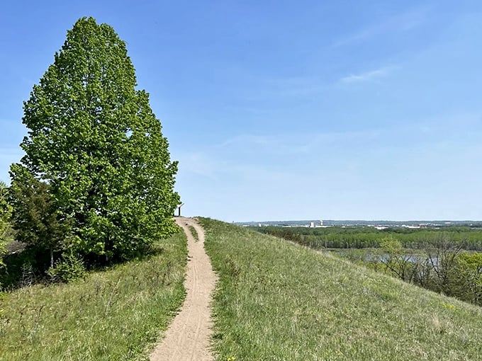A winding dirt ribbon cuts through golden grassland, promising adventure and panoramic views just beyond that majestic lone tree.