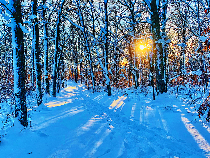 Winter transforms Crow Wing's paths into a magical snow corridor, where footprints tell stories of visitors past and present.