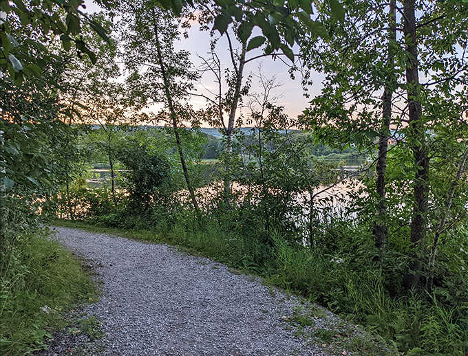 A leaf-strewn path beckons adventurers through a tunnel of autumn brilliance, promising discoveries around every gentle curve.
