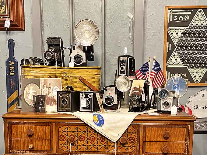 A collection of vintage cameras that once captured life's precious moments now waits for new admirers to appreciate their mechanical artistry.