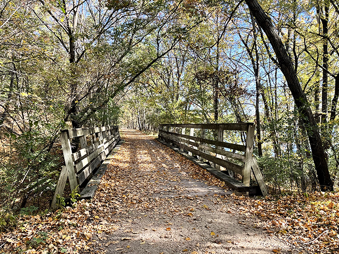 Autumn leaves carpet this wooden bridge, creating a pathway that seems to lead straight into a storybook forest adventure.