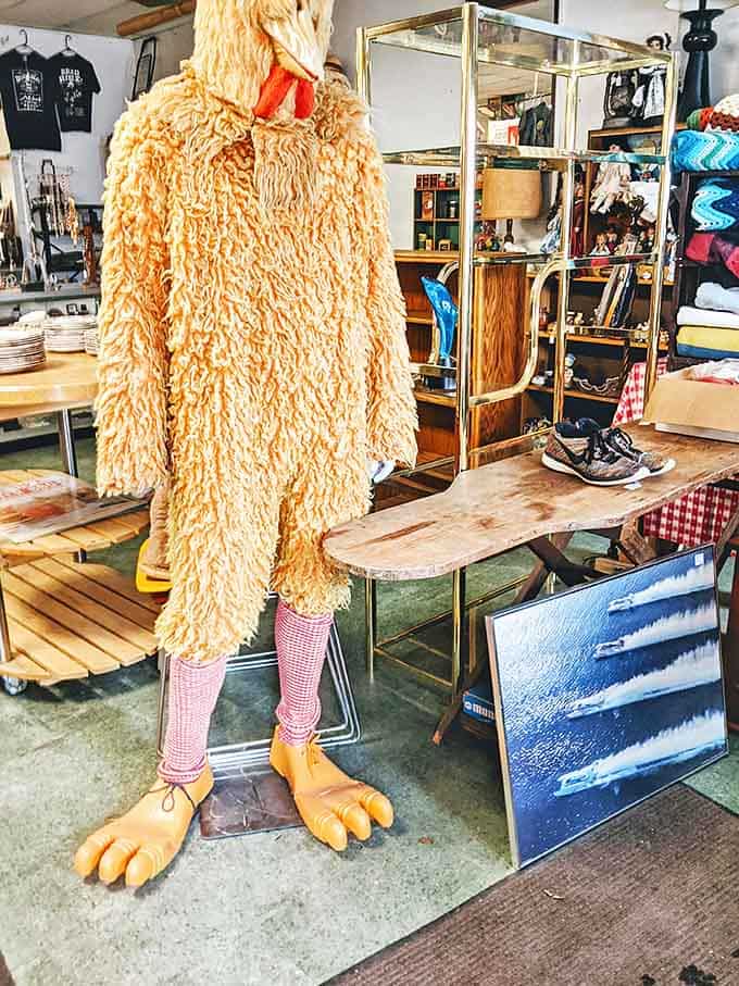 This isn't just any chicken costume &ndash; it's a conversation starter with alarmingly realistic feet that's probably witnessed decades of double-takes.