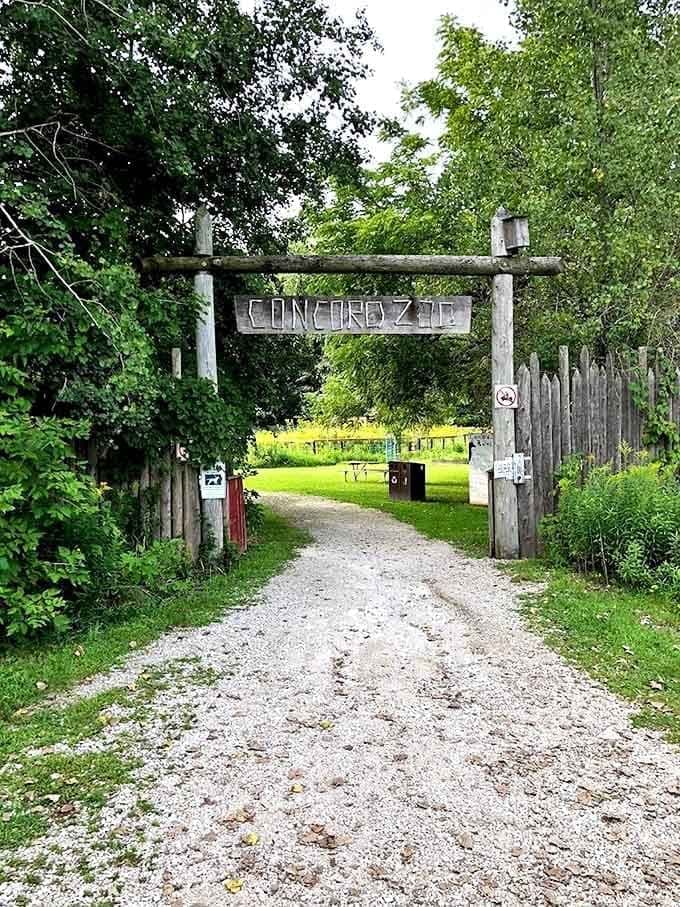 The rustic "CONCORD ZOO" entrance sign promises adventure down this unassuming dirt path. Spoiler alert: it delivers.