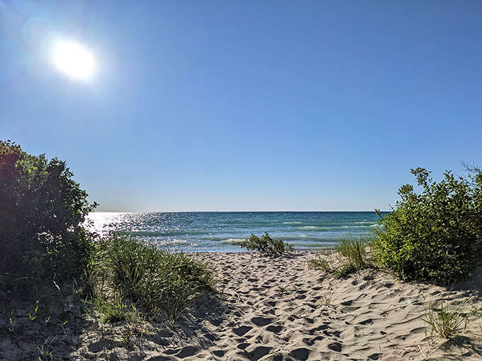 That moment when you realize the Caribbean flew north for the summer. Lake Michigan's crystal waters beckon.