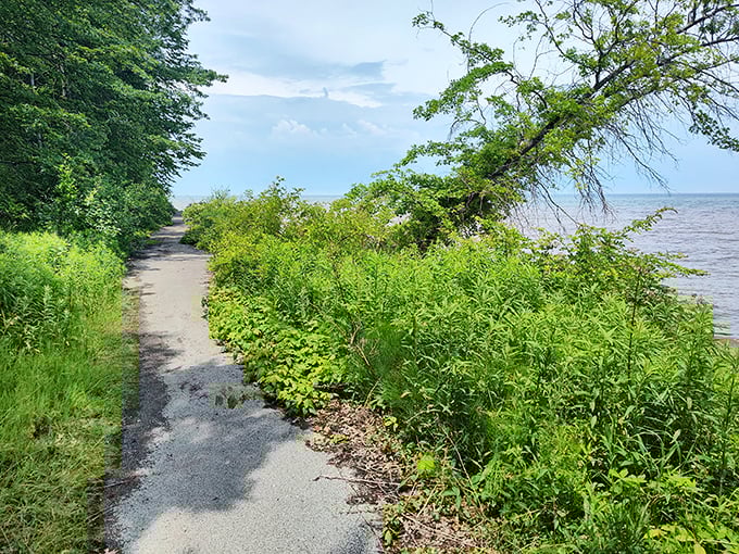 Nature trails wind through lush greenery alongside the lake, offering peaceful walks where the only traffic is the occasional chipmunk crossing.
