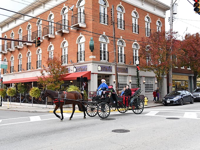 Horse-drawn carriages still clip-clop through Milford's historic district, where red brick buildings and holiday decorations create a scene from a Christmas card.