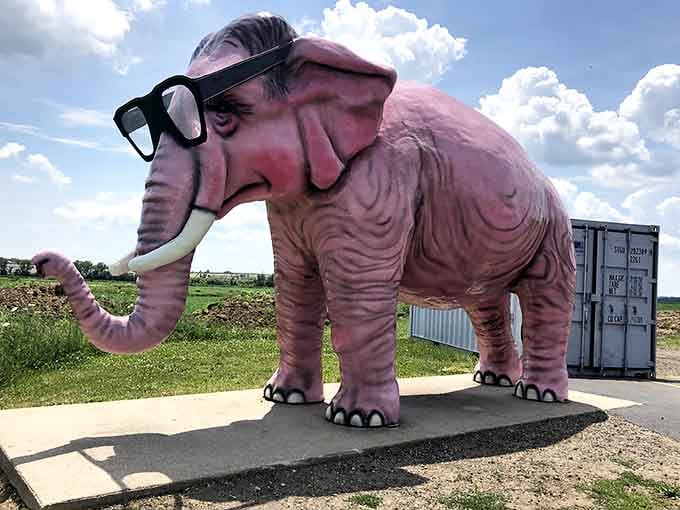 The famous pink elephant stands tall in DeForest, sporting oversized black glasses that give this roadside giant its distinctive personality.