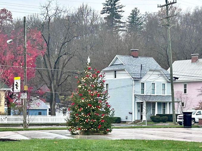 A festive Christmas tree lights up downtown Milford, Ohio, bringing holiday cheer to this charming neighborhood on a crisp afternoon.