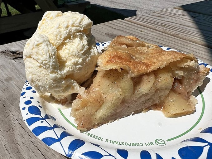 Golden apple pie perfection meets creamy vanilla ice cream in a marriage made in dessert heaven. Just look at that flaky crust!