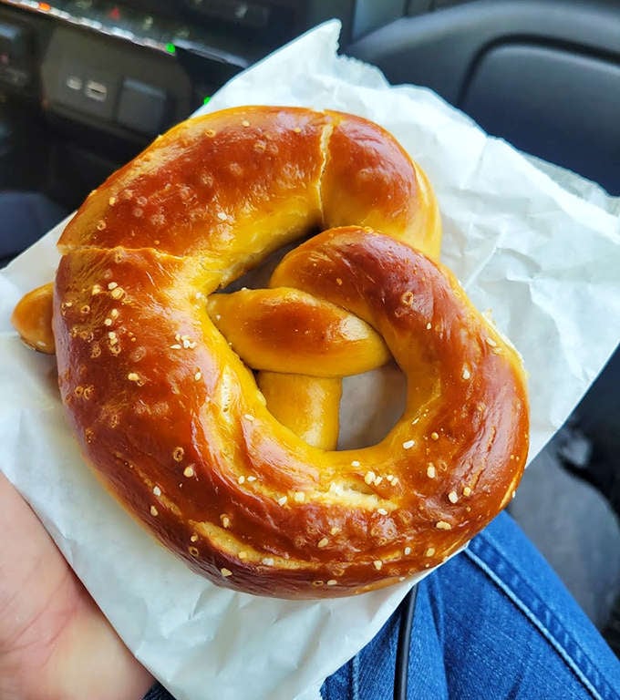 Golden-brown perfection: this Bavarian pretzel has the ideal balance of chewy interior and crackling crust, with salt crystals that catch the light.