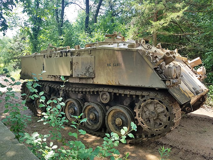 "Big Sandy" taking a breather: This battle-worn transport vehicle has traded war zones for Minnesota woods, now serving as an educational artifact.