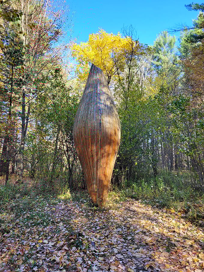 Nature's perfect teardrop or wooden alien egg? This smooth sculpture emerges from autumn leaves like a visitor from another dimension.