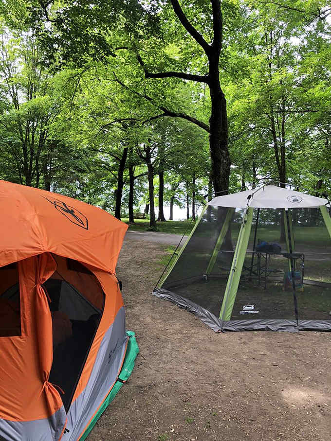 Camping under towering trees just steps from the beach? Now that's what vacation memories are made of.