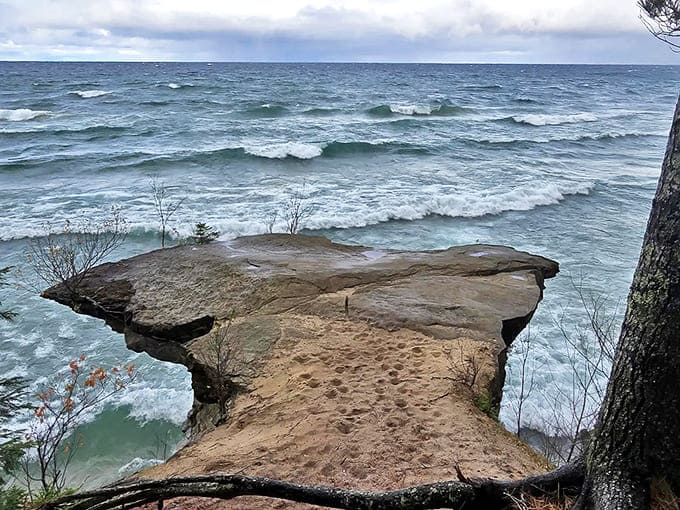 Chapel Rock stands as nature's sculpture garden – a resilient pine somehow thriving atop isolated stone, connected to the mainland by roots alone.
