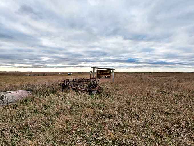 The vast expanse of Chippewa Prairie stretches to the horizon, where tall grasses dance in the breeze like nature's own ballet.
