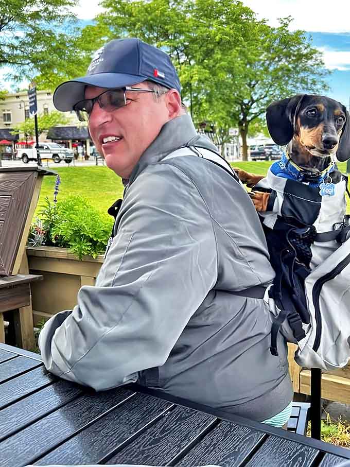 Four-legged friends aren't just tolerated but celebrated at Bridge Street, where this dachshund companion seems right at home on the dog-friendly patio.