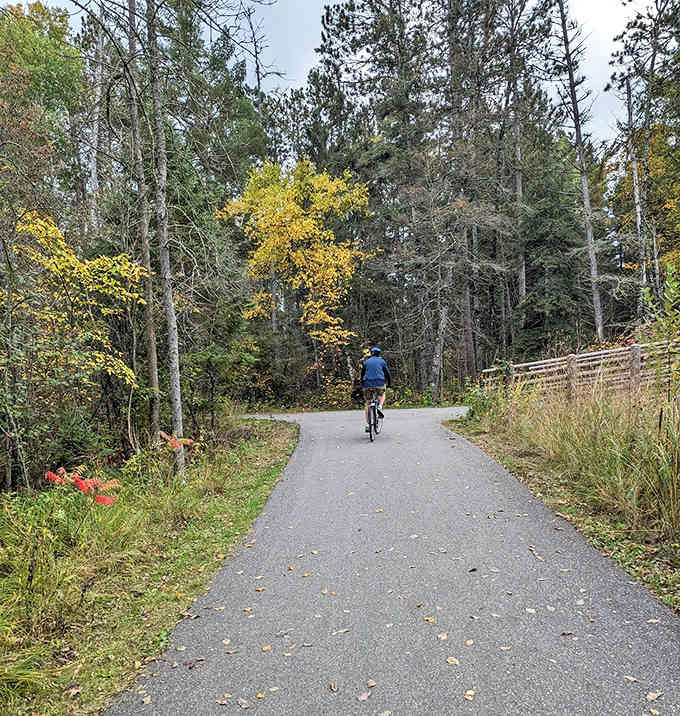 Solo cyclist enjoying the ultimate social distancing experience – miles of pristine trail with more pine trees than people. Paradise found!