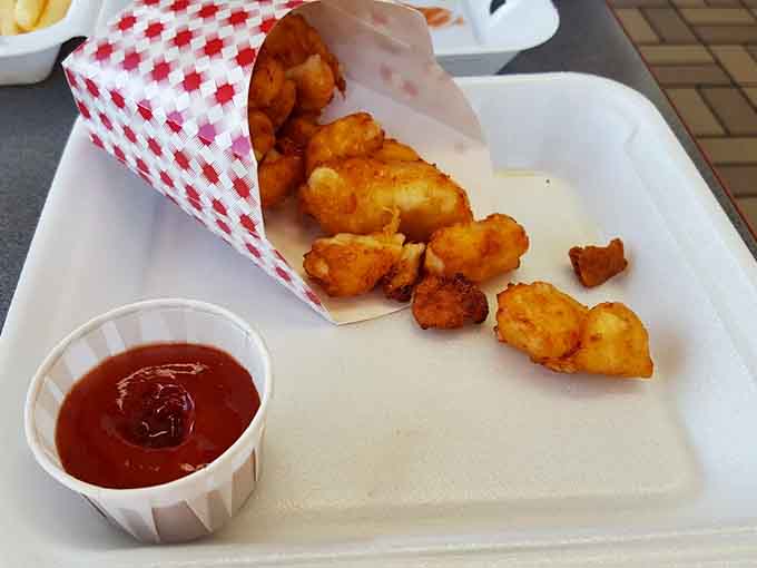 Golden cheese curds tumbling from their paper cone like edible treasure&mdash;crispy outside, gooey inside, absolutely perfect throughout.