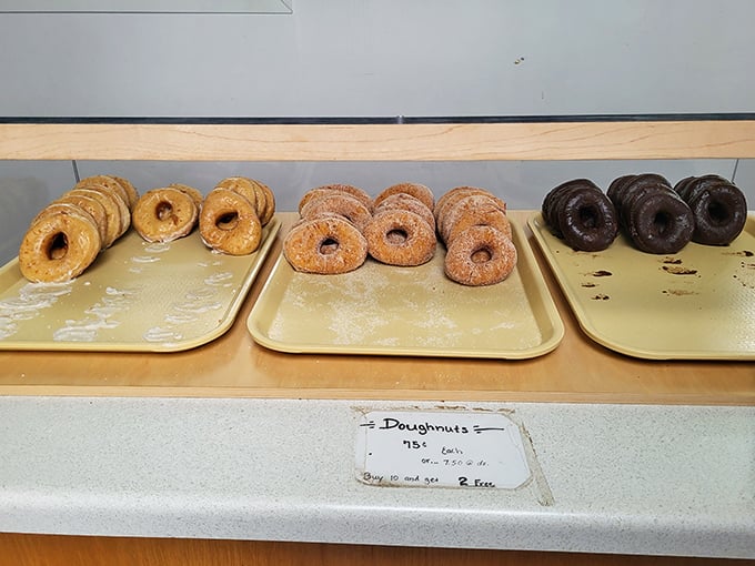 The donut trifecta &ndash; glazed, cinnamon sugar, and chocolate, proving that perfection comes in threes and calories don't count in Amish country.