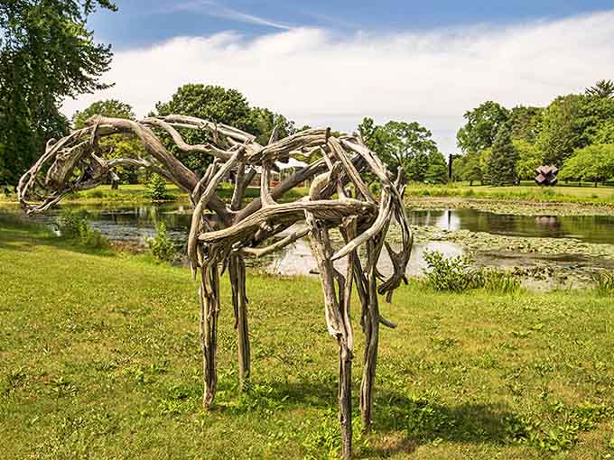 Nature becomes artist as driftwood transforms into an ethereal horse, its hollow form suggesting both presence and absence simultaneously.