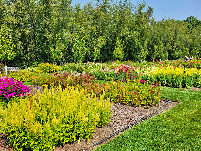Vibrant blooms create a painter's palette in the formal gardens, where carefully planned color combinations delight the eye in every season.