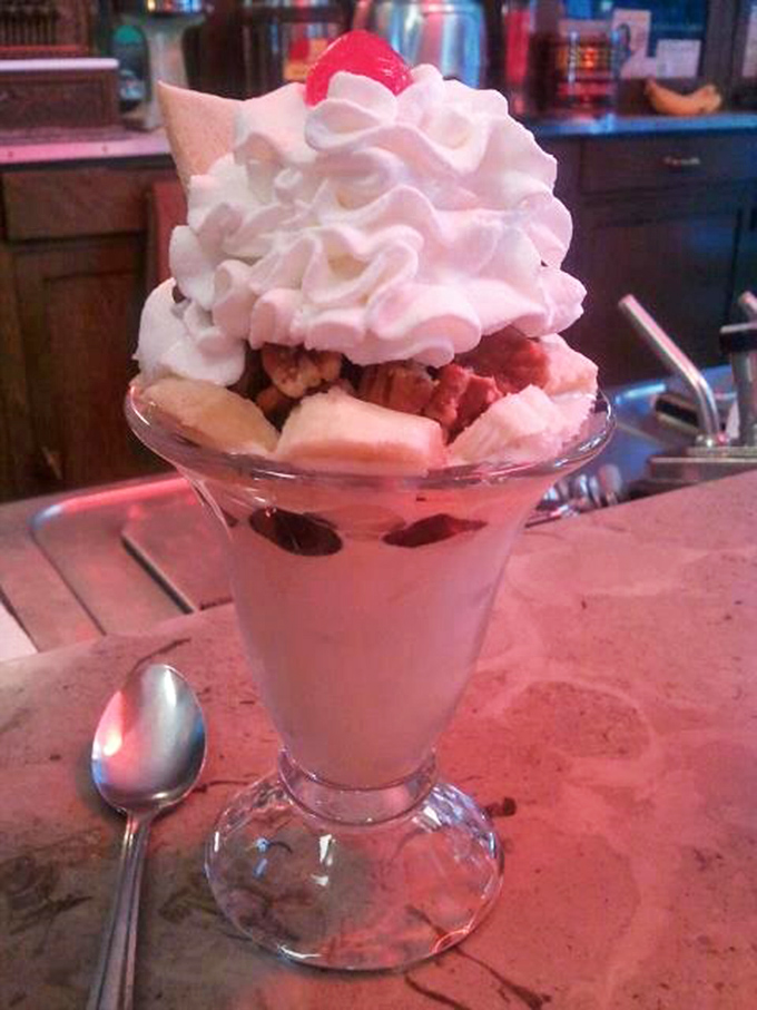 Mountains of whipped cream crown rivers of hot fudge in this royal treatment of vanilla ice cream.