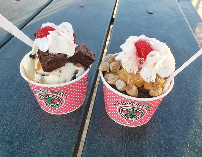 Ice cream perfection in every cup! These decadent creations feature brownies and cookie dough that'll make your taste buds dance.