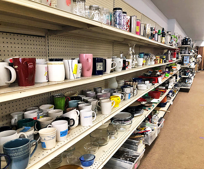 Mugs with personalities line up like candidates at a very quirky election. Each one has stories to tell if you're willing to listen.