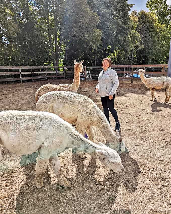 Getting up close with these gentle giants creates memories that'll have you grinning like a kid for days afterward.