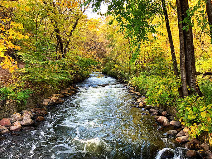 Golden leaves frame the rushing creek, creating a peaceful autumn escape along the colorful forest trails of this historic park.