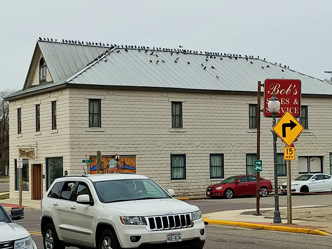 Bob's Tires & Service, where birds hold their morning meetings and locals get honest car advice without the big-city upsell.