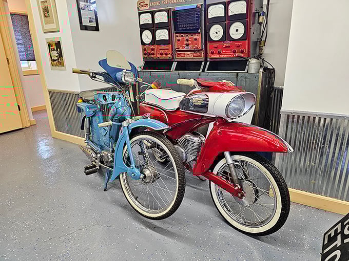 Vintage motorcycles line the wooden-floored gallery, each with a story of innovation, speed, and occasionally spectacular mechanical failure.