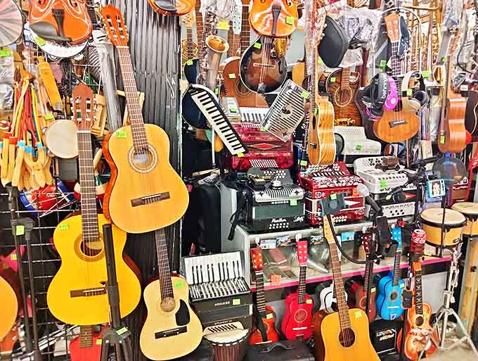 Strum, pluck, or squeeze your way through this musical menagerie, where instruments await their chance to make beautiful noise again.