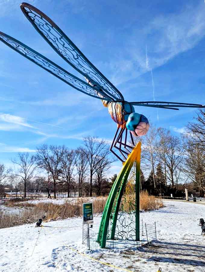 Nimbly the dragonfly hovers above the grounds, its intricate metalwork catching sunlight like a jewel suspended in mid-flight.
