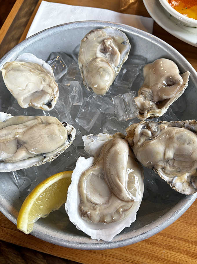 Fresh oysters nestled on ice, waiting for just a squeeze of lemon and that perfect moment when briny ocean meets eager palate.
