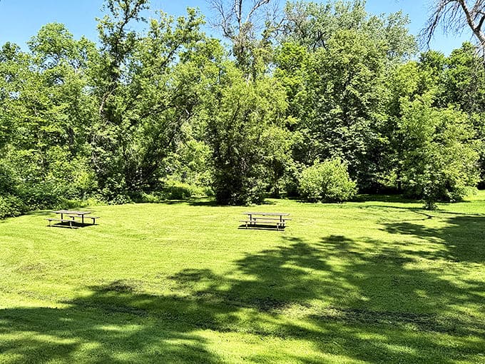 The park's picnic area offers a tranquil spot to refuel between adventures, with ancient trees providing shade just as they did for settlers generations ago.